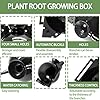 Amazon.com : Kemcatui 10 Pack Plant Root Growing Box, Rooting Ball Tree ...