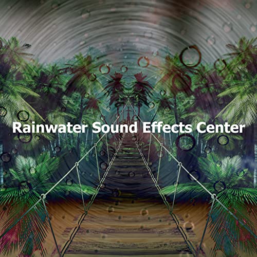 Amazon.com: Rainwater Sound Effects Center : Water Effects Center ...