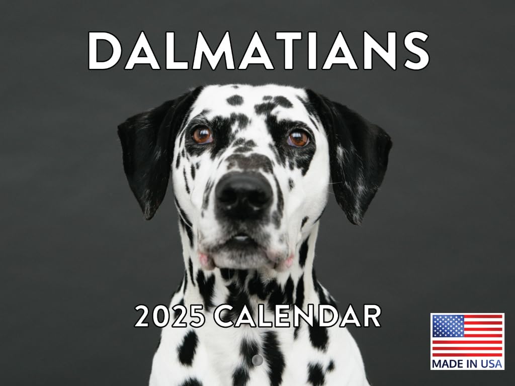 Amazon.com: Dalmatian Calendar 2025 Wall Monthly | American Made In The ...