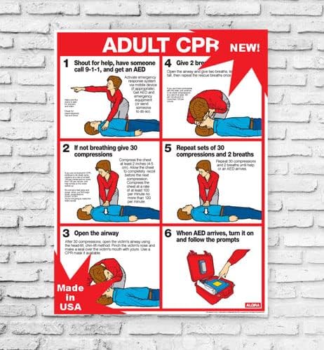 Amazon.com: CPR for Adults 18" X 24" Laminated Poster 2017 Standards ...