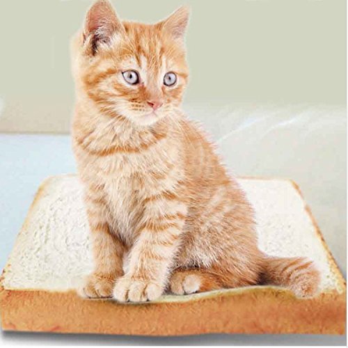 Buy Imported and New New Cartoon Really Type Brown cat Plush Stuffed ...