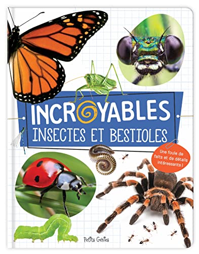 Incroyables insectes et bestioles (French Edition) eBook : Chabot ...