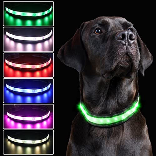LED Halsband – Die 15 besten Produkte im Vergleich ...