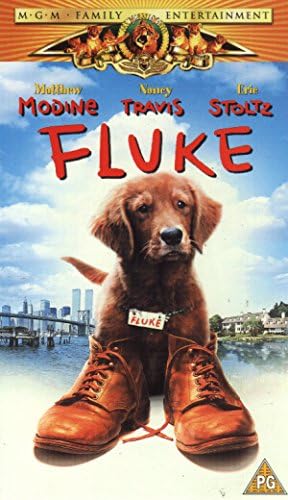 Amazon.com: Fluke [VHS] : Samuel L. Jackson, Matthew Modine, Nancy ...