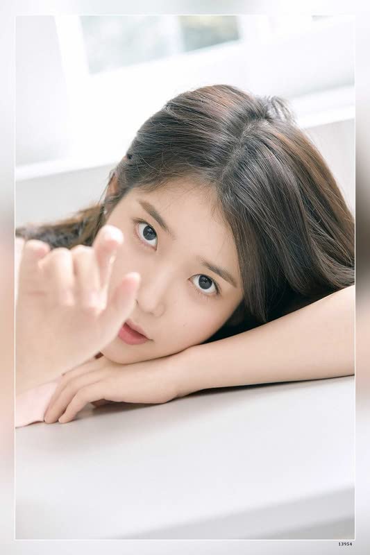 Poster Envy Iu Lee Ji-Eun South Korean Singer-Songwriter Matte Finish ...