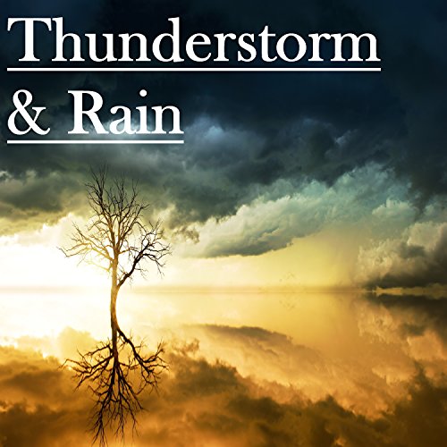 Amazon.com: 16 Thunderstorm and Rain Sounds for Spa, Meditation or ...