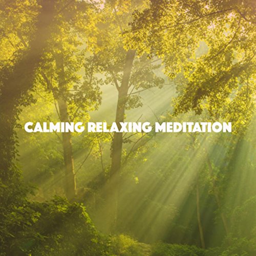 Play Calming Relaxing Meditation by Relaxing Mindfulness Meditation ...