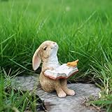 Reading Rabbit Garden Statue | The Green Head