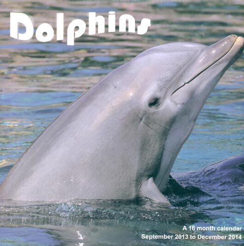 Amazon.com: Dolphins 2014 Wall Calendar: 9781617913112: Magnum ...