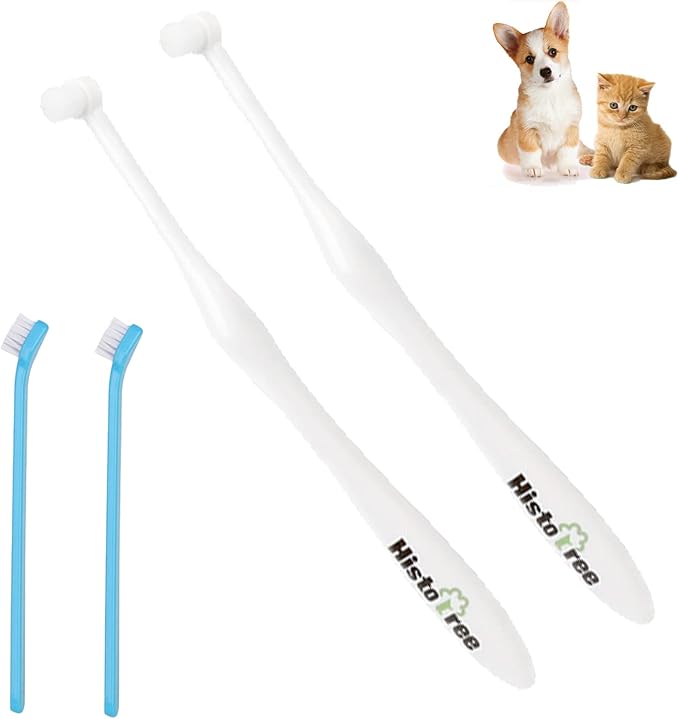 Amazon.com: JGocot Dog Toothbrush, Cat Toothbrush|Mini Head|Micro Nano ...
