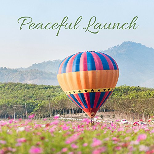 Amazon.com: Peaceful Launch : Rain Sounds: Digital Music