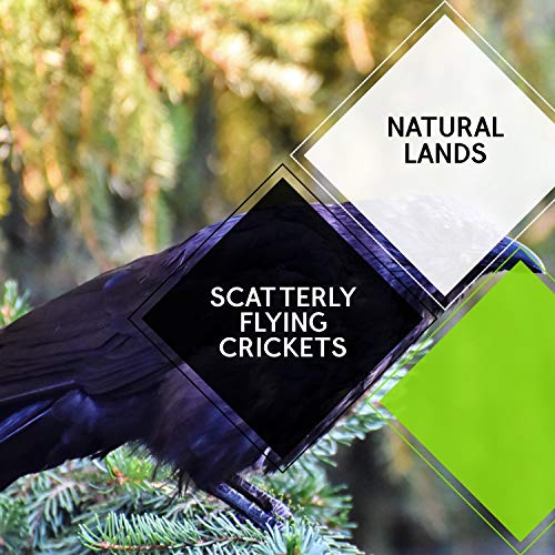 Play Scatterly Flying Crickets - Natural Lands by Sleepy Times, Deep ...