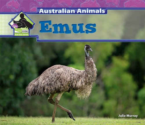 Emus (Australian Animals): Murray, Julie: 9781617830105: Amazon.com: Books