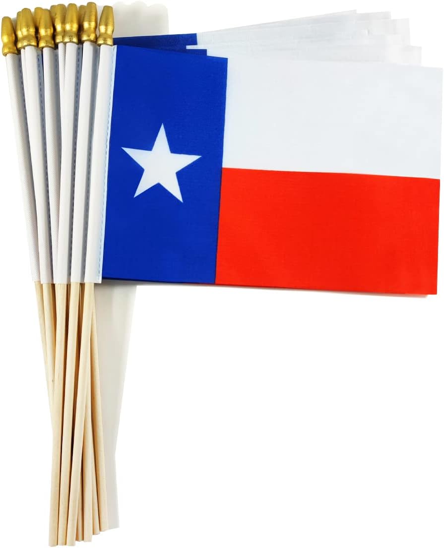 Amazon.com : LoveVC Texas State Flag Small Mini Texas Stick Flags,25 ...