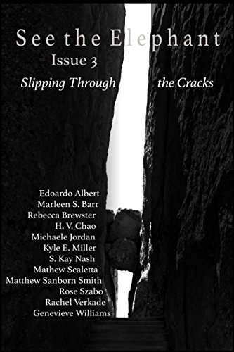 See the Elephant, Issue 3: Slipping Through the Cracks: Williams ...