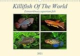 Killifish: Species, Care, Size, Breeding, Diet & Water Parameters