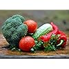 Amazon.com : Set of 10 Assorted Vegetable & Herb Seed Packets - Create ...
