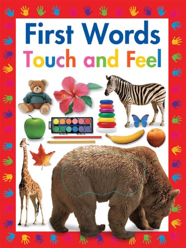 First Words Touch and Feel (Large Touch 'n' Feel Series): The Book ...
