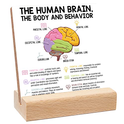 Snapklik.com : Human Brain Body Behavior Teaching Sign, Gift For ...