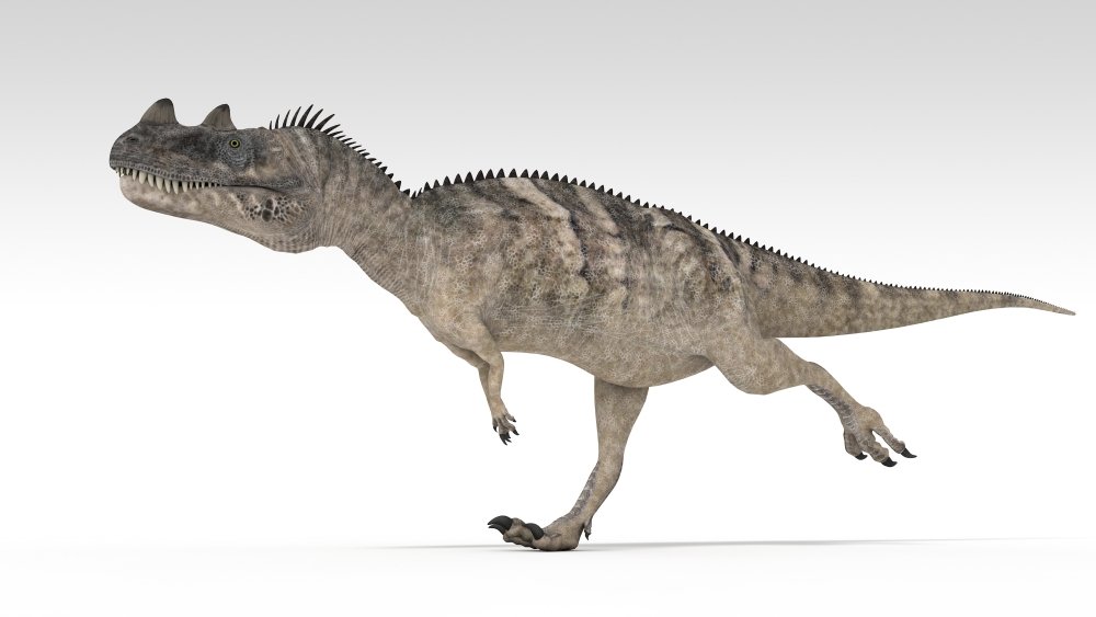 Ceratosaurus Size