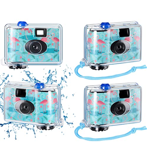 Les 16 meilleurs appareils photo sous-marins jetables - Hifi-Online.net