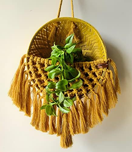 Kavi The Poetry-Art Project Jharokha Planter (Multicolour) : Amazon.in ...