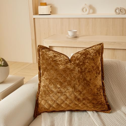 Amazon.com: PHF Super Soft Velvet Euro Sham, 26"x 26",No Insert, 2 Pack ...