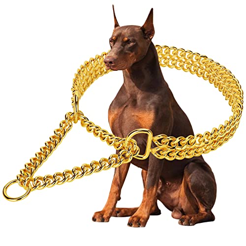 Unleash the Style with the Top 10 Big Dog Chains of 2021 - Furry Folly