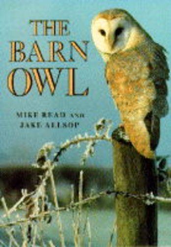 The Barn Owl: Amazon.co.uk: Read, Mike, Allsop, Jake: 9780713723496: Books