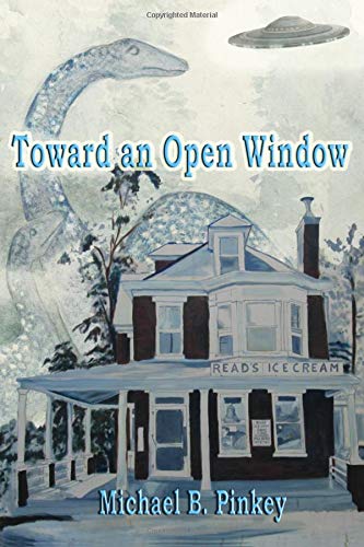 Amazon.com: Toward an Open Window: 9781732678408: Pinkey, Michael B.: Books