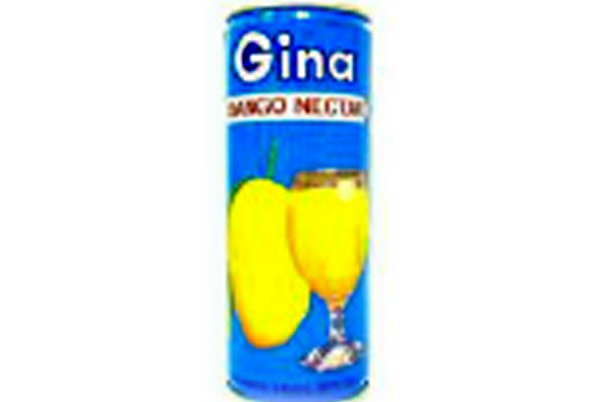 Amazon.com: Gina, Juice Mango Nectar, 8 FO (Pack of 30) : Grocery ...