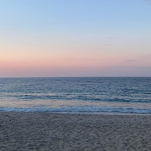 Amazon.co.jp: Depresión En Cuarentena : Plastic Miranda: Digital Music