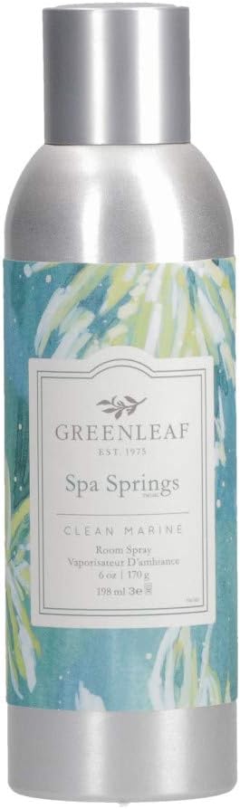 Amazon.com: Greenleaf Gifts Room Spray-Spa Springs : Everything Else