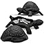 Amazon.com : AZ-Homey Cast Iron Turtle Key Hider - Outdoor Hidden Key ...