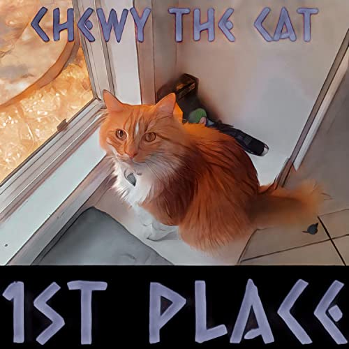 Chewy Cat – The 15 best products compared - Wild Explained