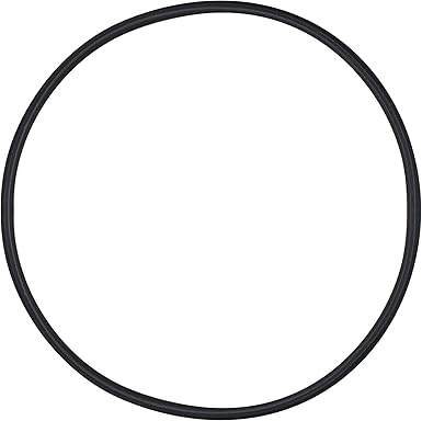 Amazon.com: Buying Q Buying S Replacement Swimming Pool Filter Tank O ...