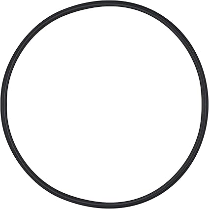 Amazon.com: Buying Q Buying S Replacement Swimming Pool Filter Tank O ...