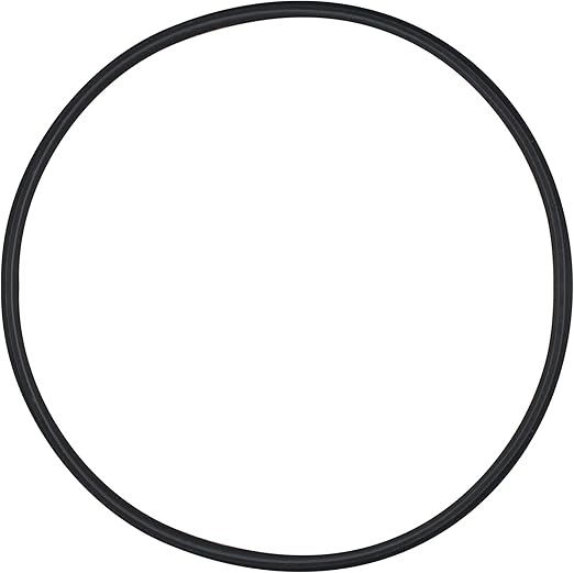 Amazon.com: Buying Q Buying S Replacement Swimming Pool Filter Tank O ...