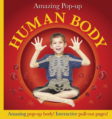 Amazing Pop-up Human Body: DK Publishing: 9780756682156: Amazon.com: Books
