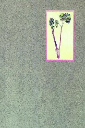 A Life in Hand: Creating the Illuminated Journal by Hannah Hinchman ...
