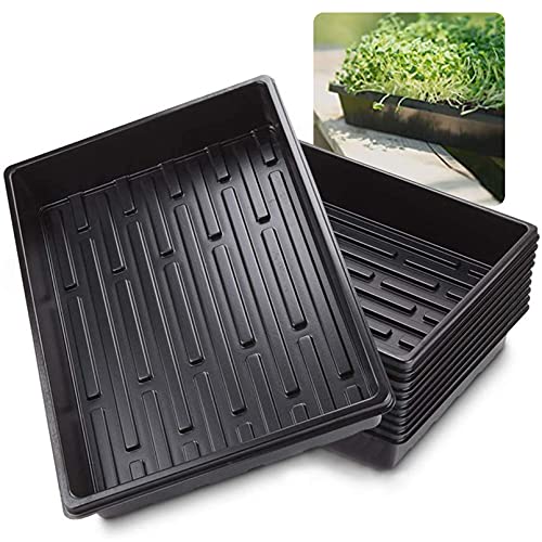 9 Best Hydroponic Trays | Hydroponic Tables [2022 Guide]