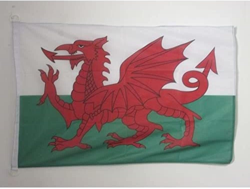 Wales Welsh Dragon 3'x2' Flag : Amazon.co.uk: Garden