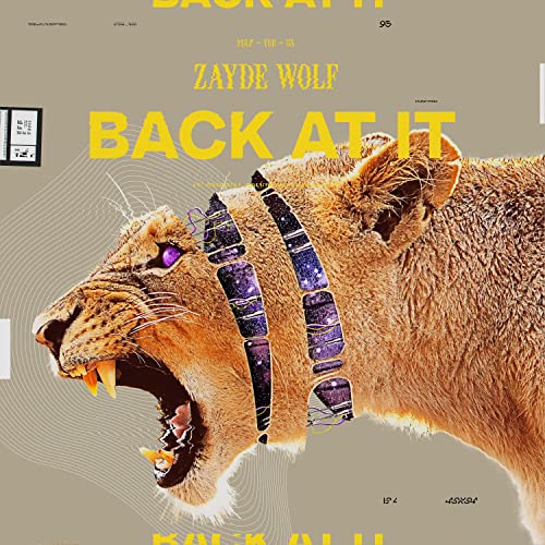 Back at It by Zayde Wølf on Amazon Music - Amazon.com