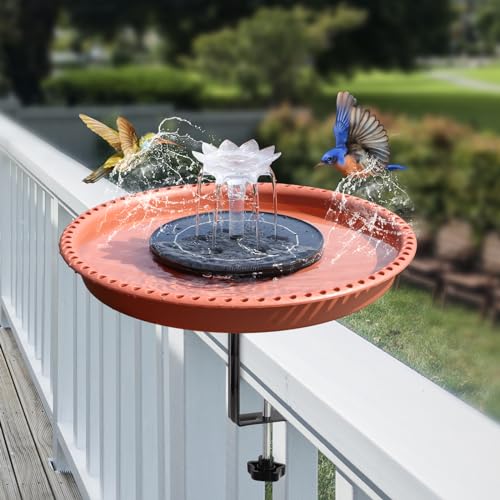 10 Best solar hummingbird bath fountain