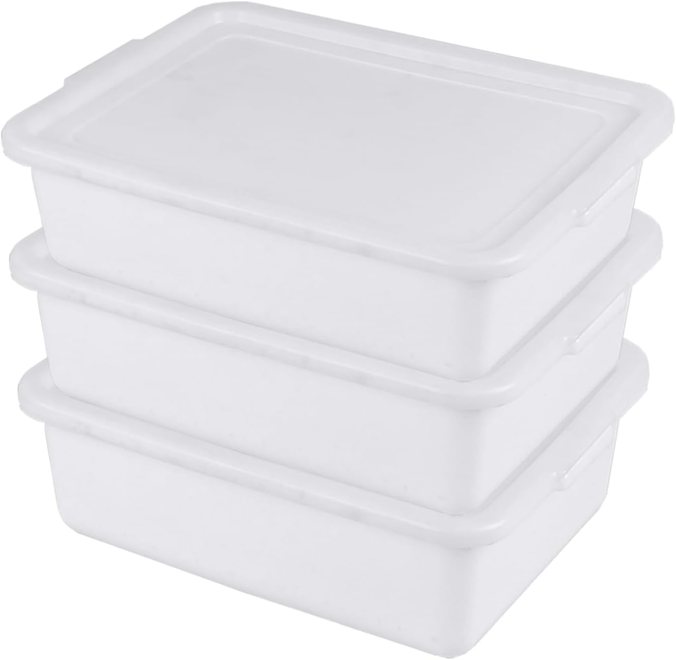 Amazon.com: Vababa 2-Pack 16 L Pizza Dough Proofing Box with Lid, Clear ...