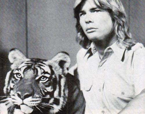 Big Boy, der aus dem Dschungel kam : Amazon.de: Bücher