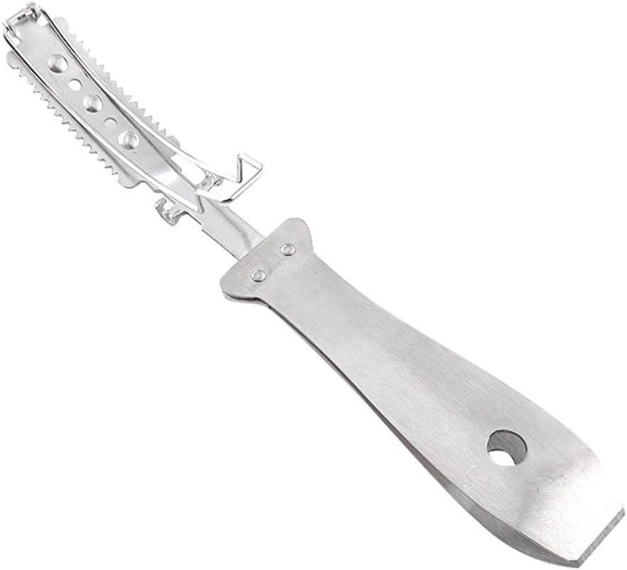 Amazon.com : DOITOOL 1pc Stainless Steel Pig Hair Scraper Ergonomic ...