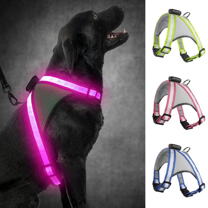 Amazon.com : Visinite LED Dog Harness, USB Rechargeable Light Up Dog ...