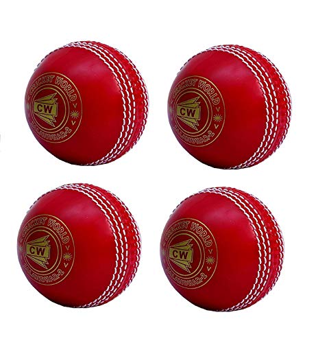 CW Spin Practice Cricket Balls Poly Soft PVC Ball Boy Adult Twin Color ...