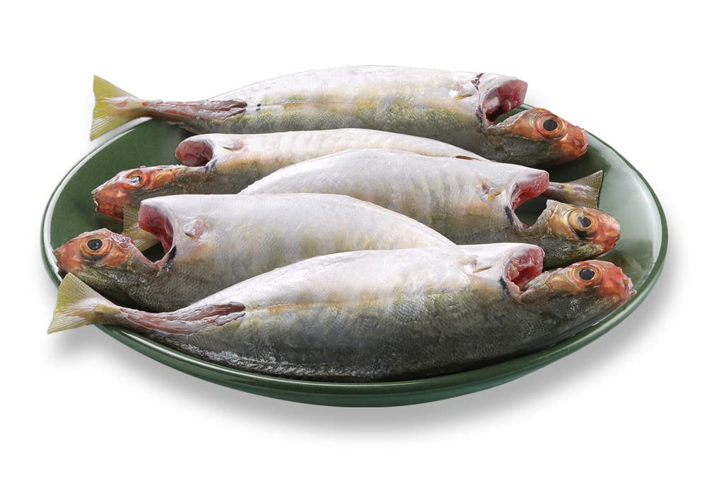 Vatta Fish Kerala Images In English Nostalgic Kerala